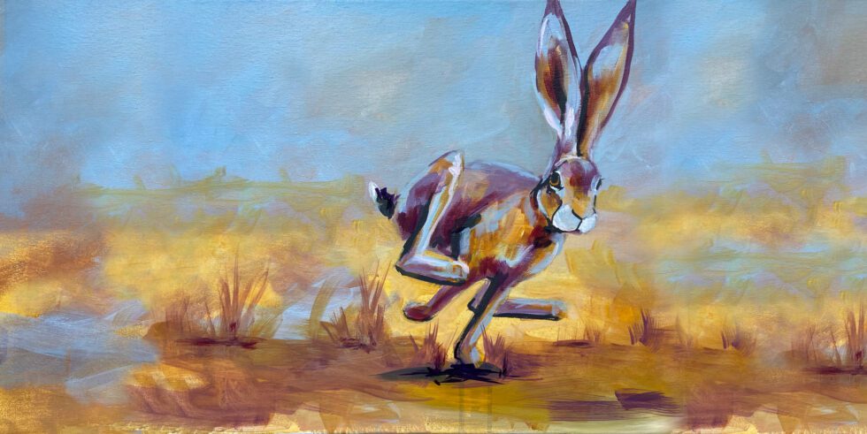 Jackrabbit - D.J. Green | Geologist Writer